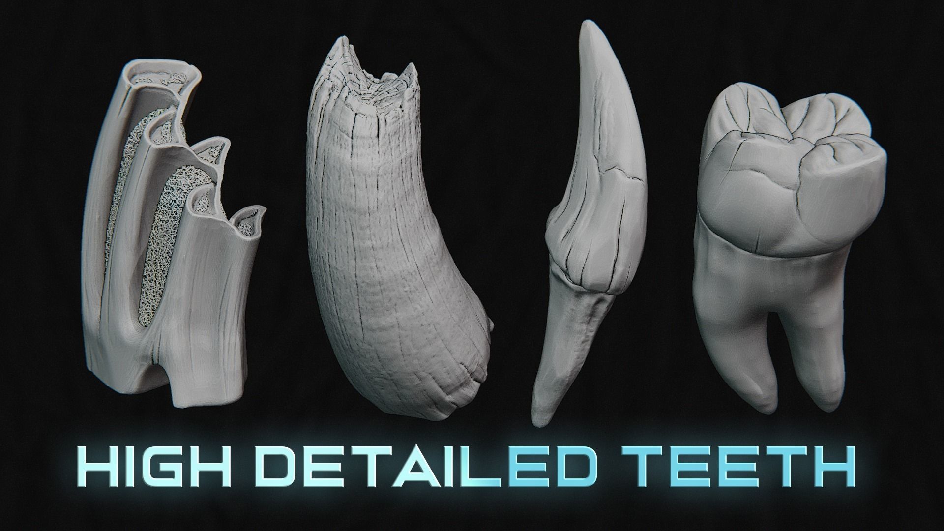 44 TEETH - High Detailed Teeth For Creatures IMM Zbursh-Blender 3D ...