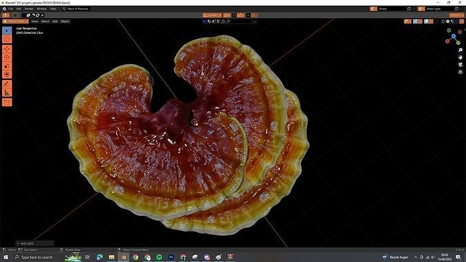 3D model reishi mushroom for 3d print webgl and game AR VR VR / AR ...