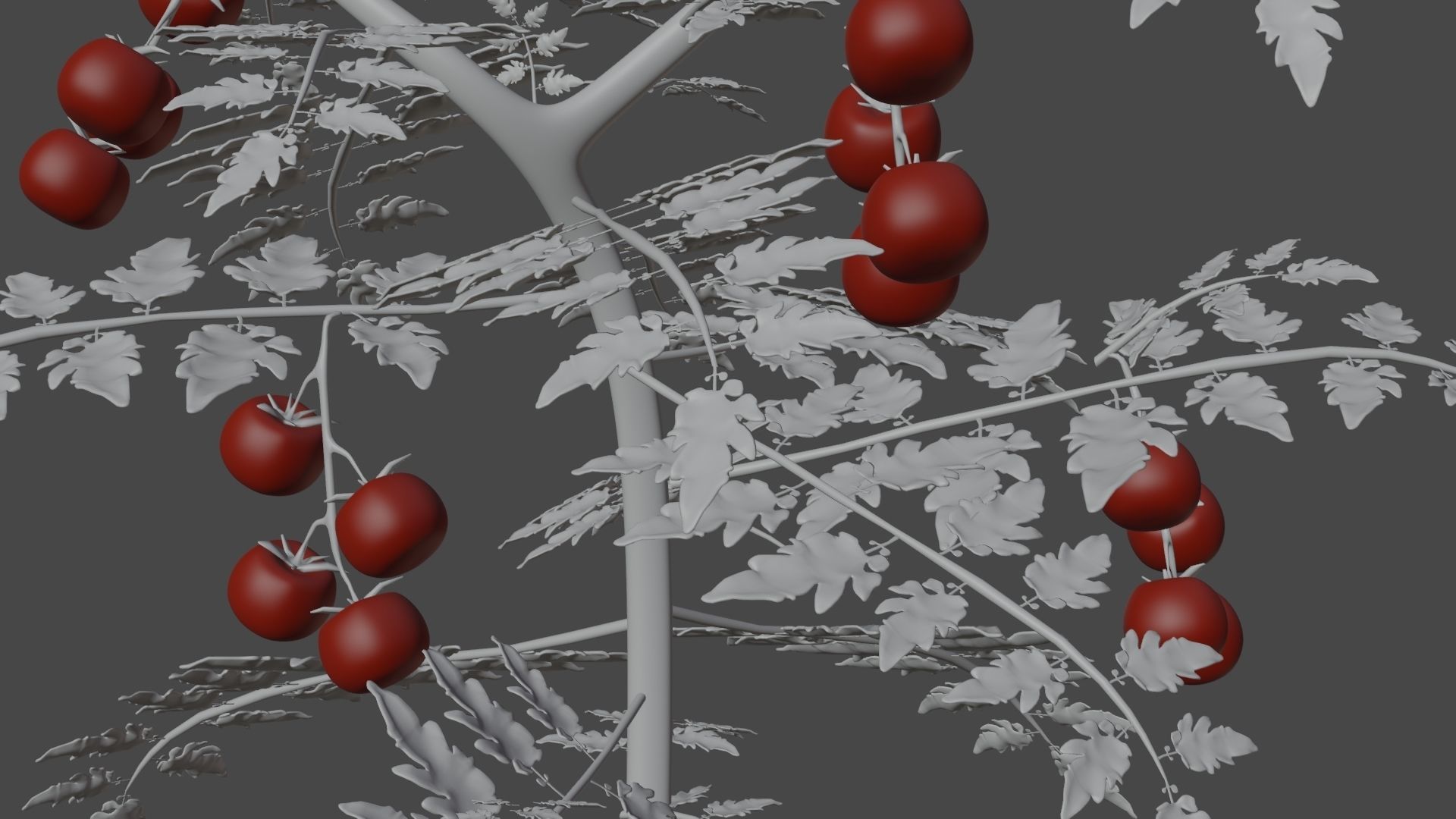 3D model tomato plant VR / AR / low-poly | CGTrader
