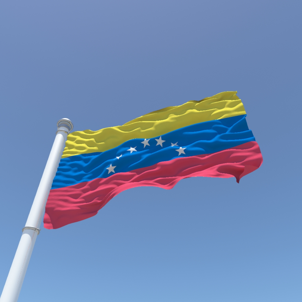 Venezuela flag 3D model | CGTrader