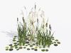 3D model Modular Wetland Plants Set 01 VR / AR / low-poly | CGTrader