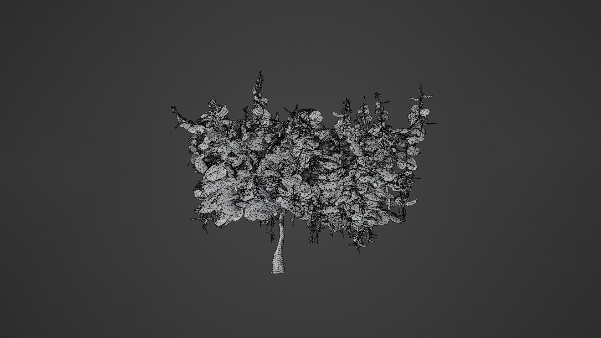 Grapevine Plant 001 Var 004 3D model | CGTrader