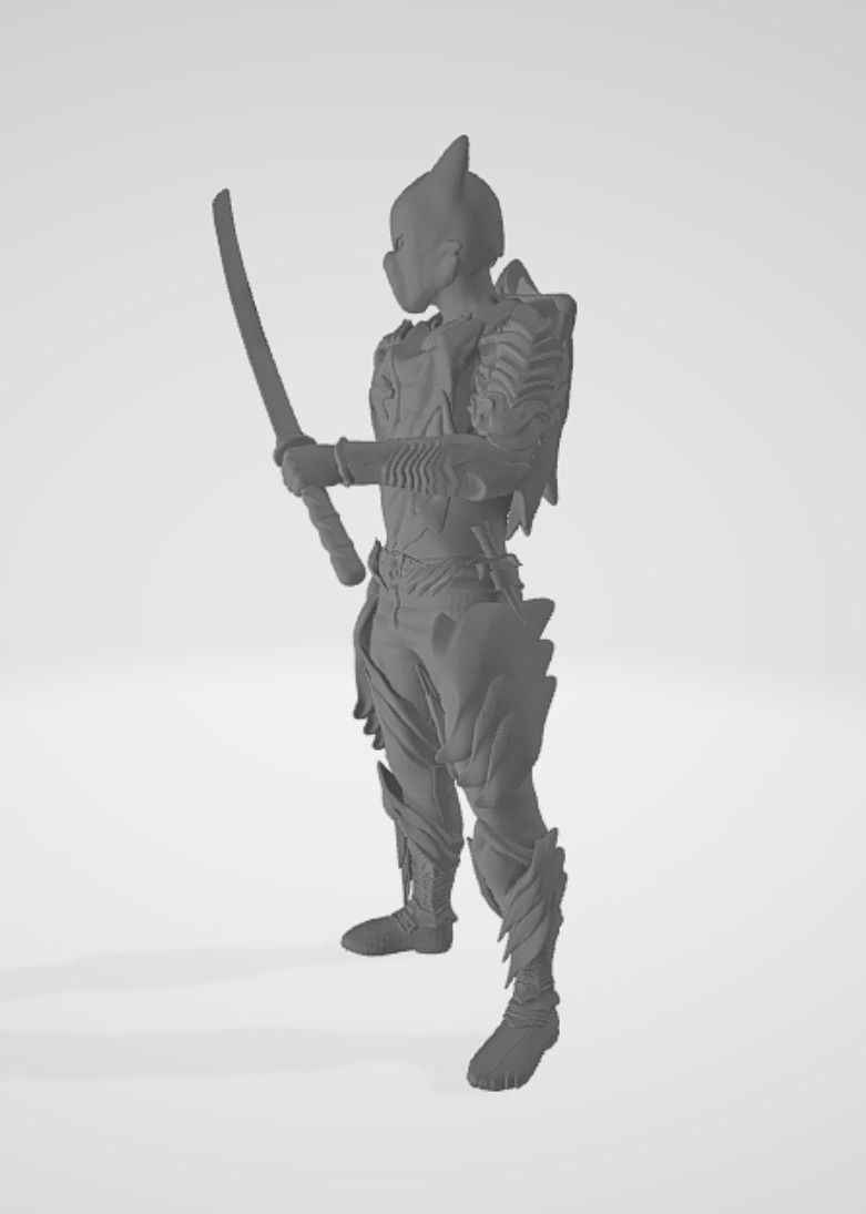 Shadow - Wolf Warrior 3D model 3D printable | CGTrader