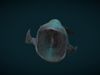 Bloop free 3D model animated rigged | CGTrader
