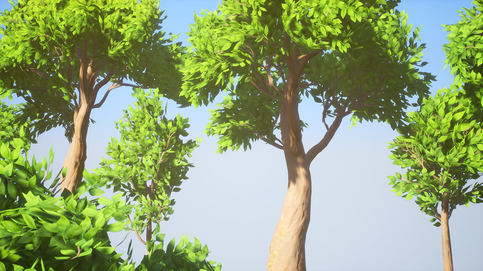 3D model Simple Trees Pack VR / AR / low-poly | CGTrader