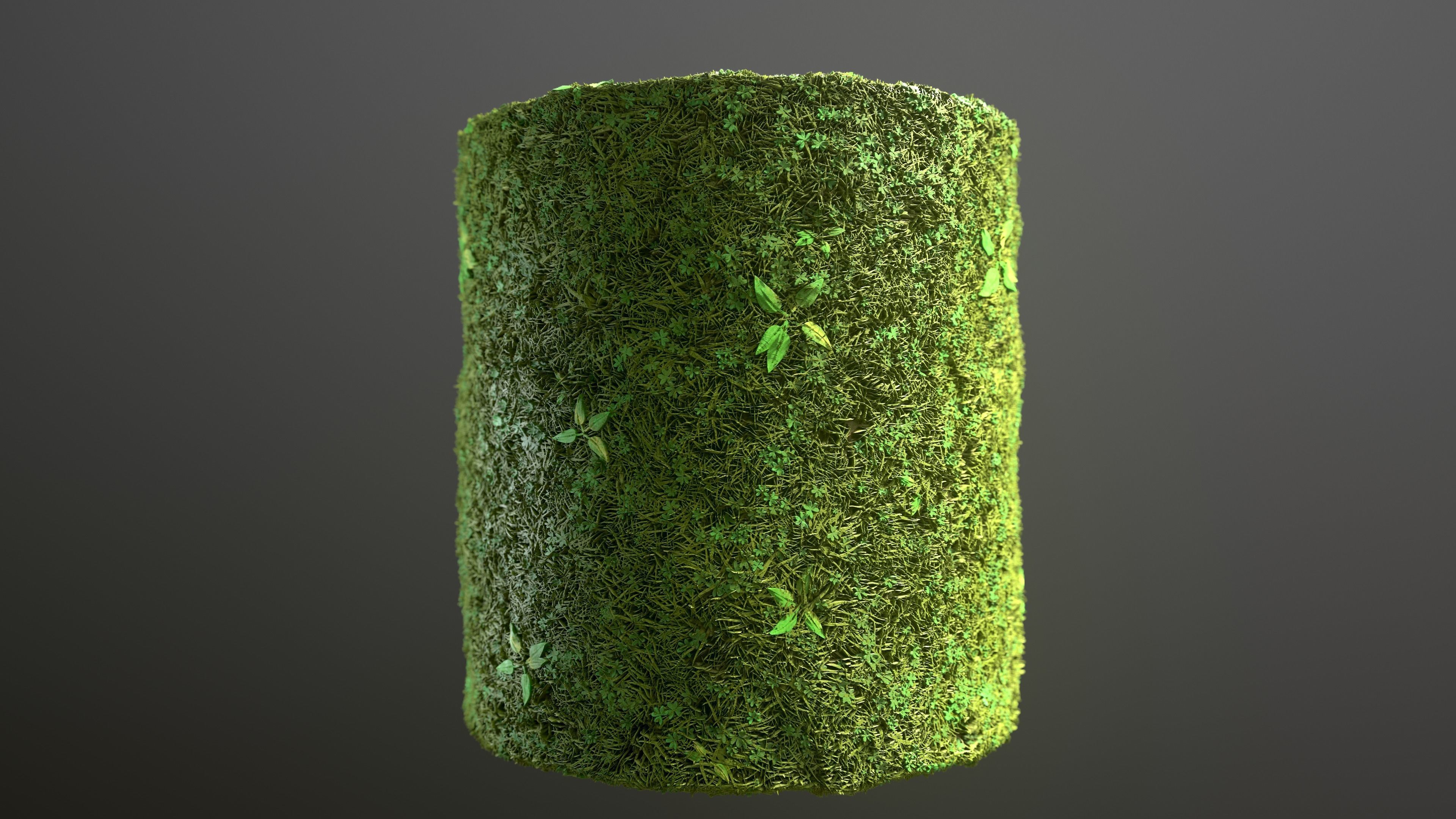 Meadow 4k PBR texture Texture | CGTrader