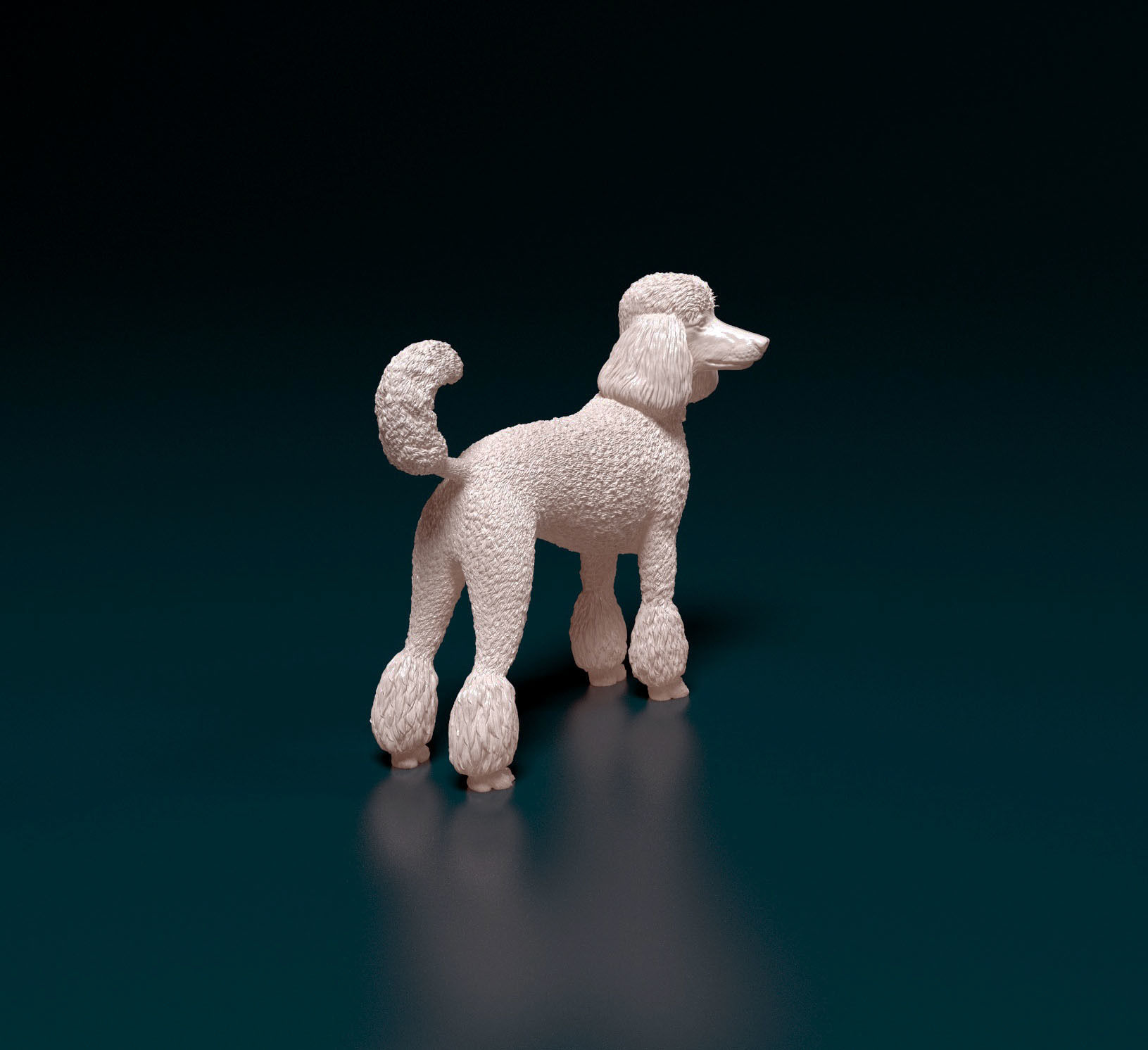 Poodle 05 3D model 3D printable | CGTrader