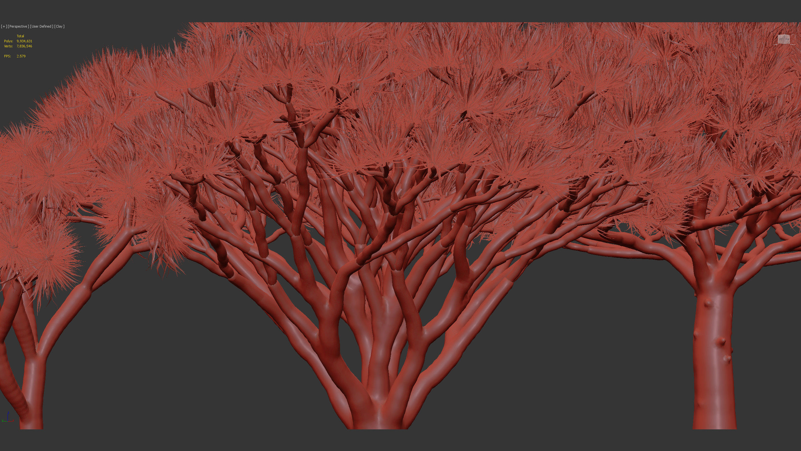 Dracaena draco Dragon tree 3D model | CGTrader