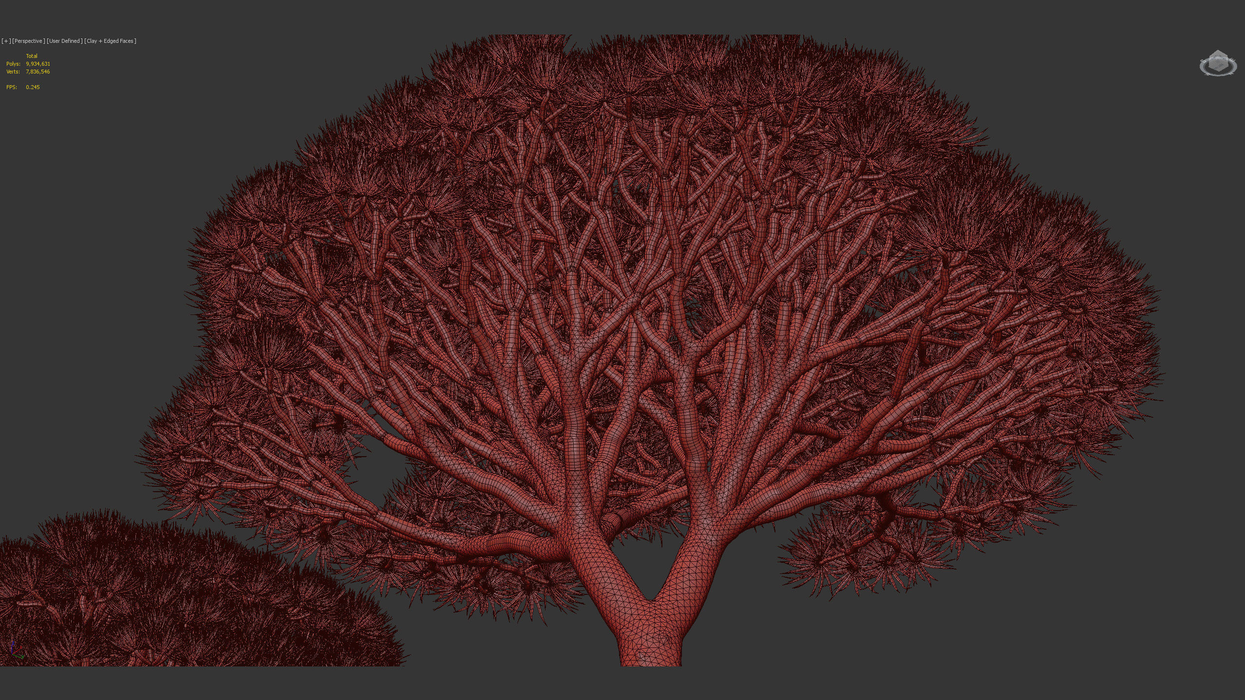 Dracaena draco Dragon tree 3D model | CGTrader
