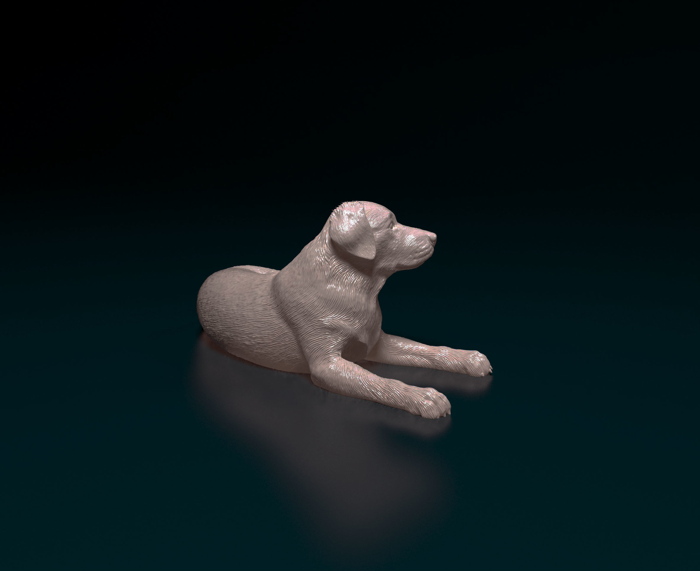 Labrador 04 3D model 3D printable | CGTrader