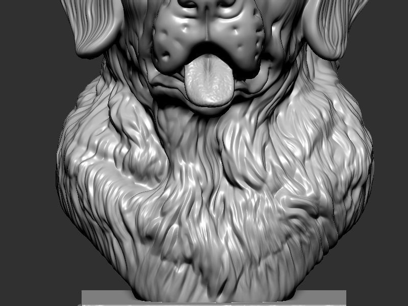Labrador Dog Bust 3D model 3D printable | CGTrader