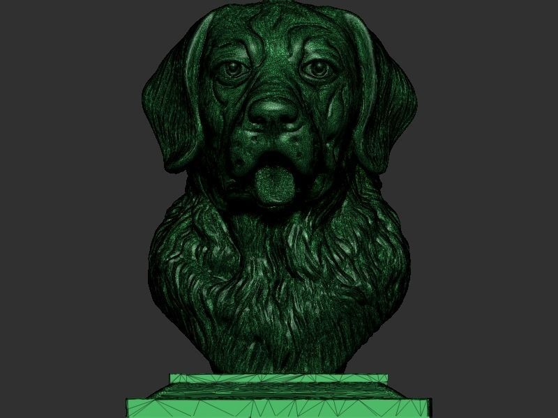 Labrador Dog Bust 3D model 3D printable | CGTrader
