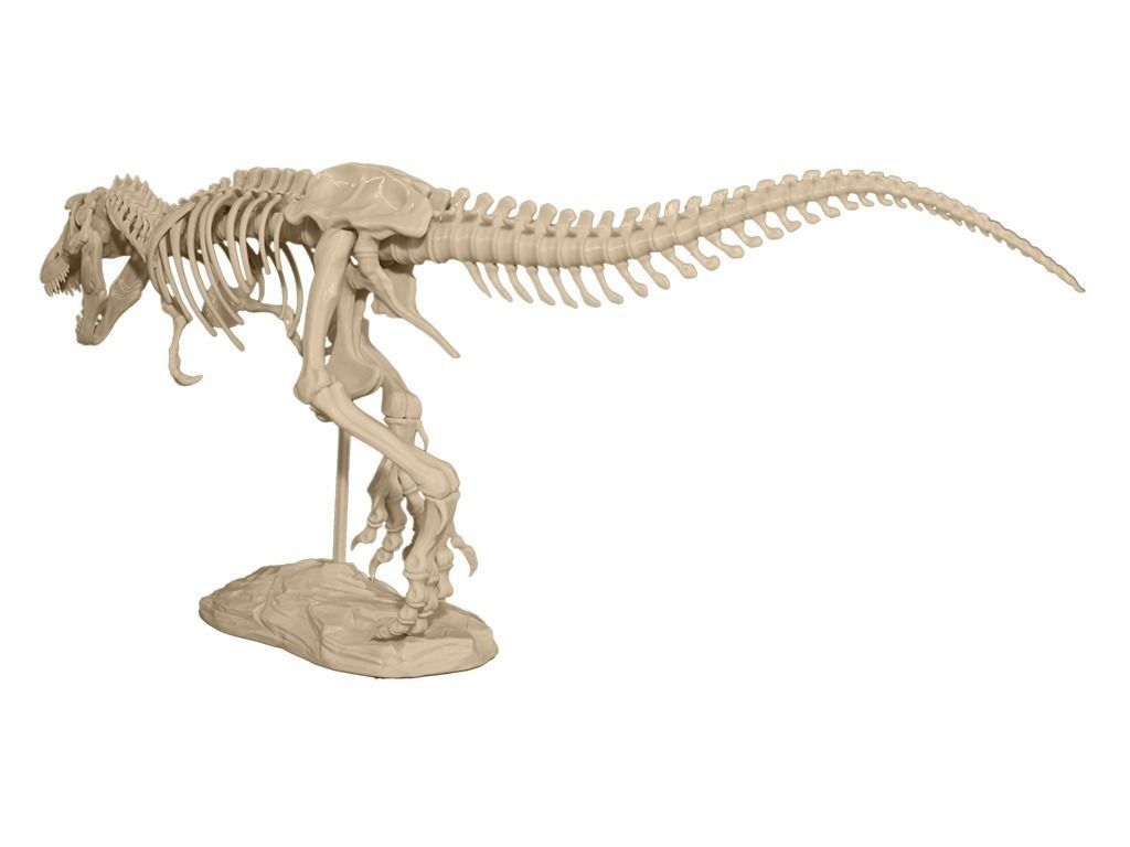 T Rex Skeleton for 3D Printer 3D model 3D printable | CGTrader