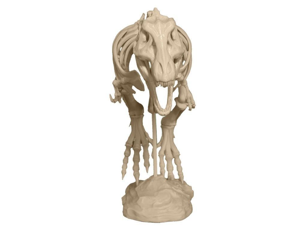 T Rex Skeleton for 3D Printer 3D model 3D printable | CGTrader