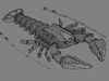 Articulated Crawfish 3D model 3D model 3D printable | CGTrader