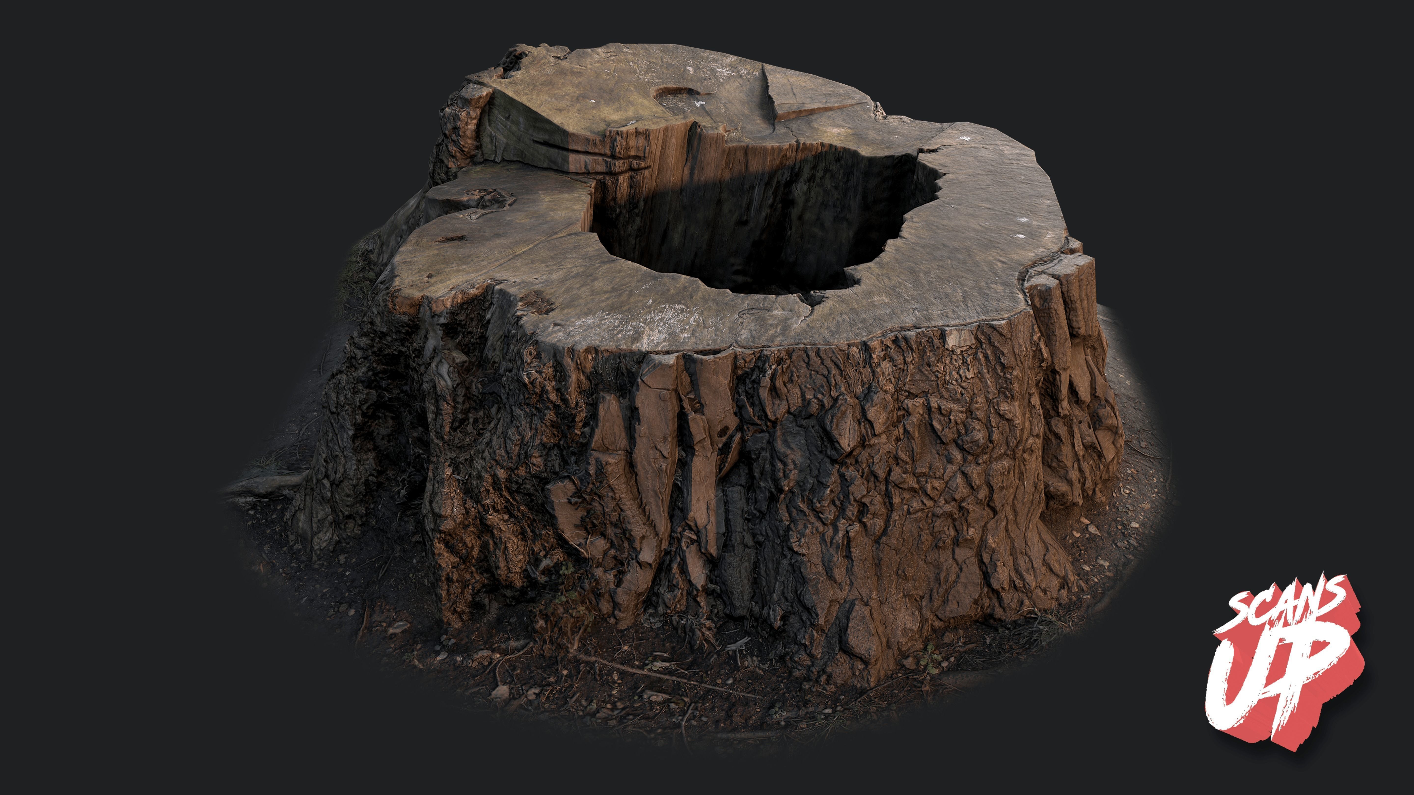 3D model Tree Stump 01 - Stonelake3D VR / AR / low-poly | CGTrader