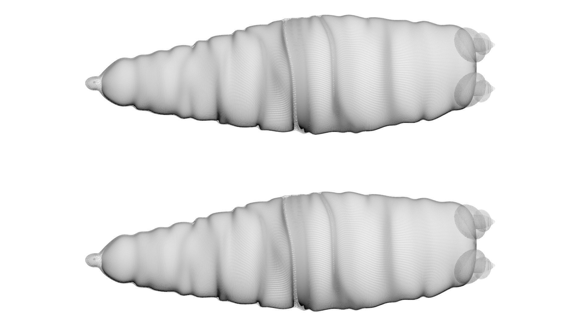 Antistress Squish Worms 3D model | CGTrader