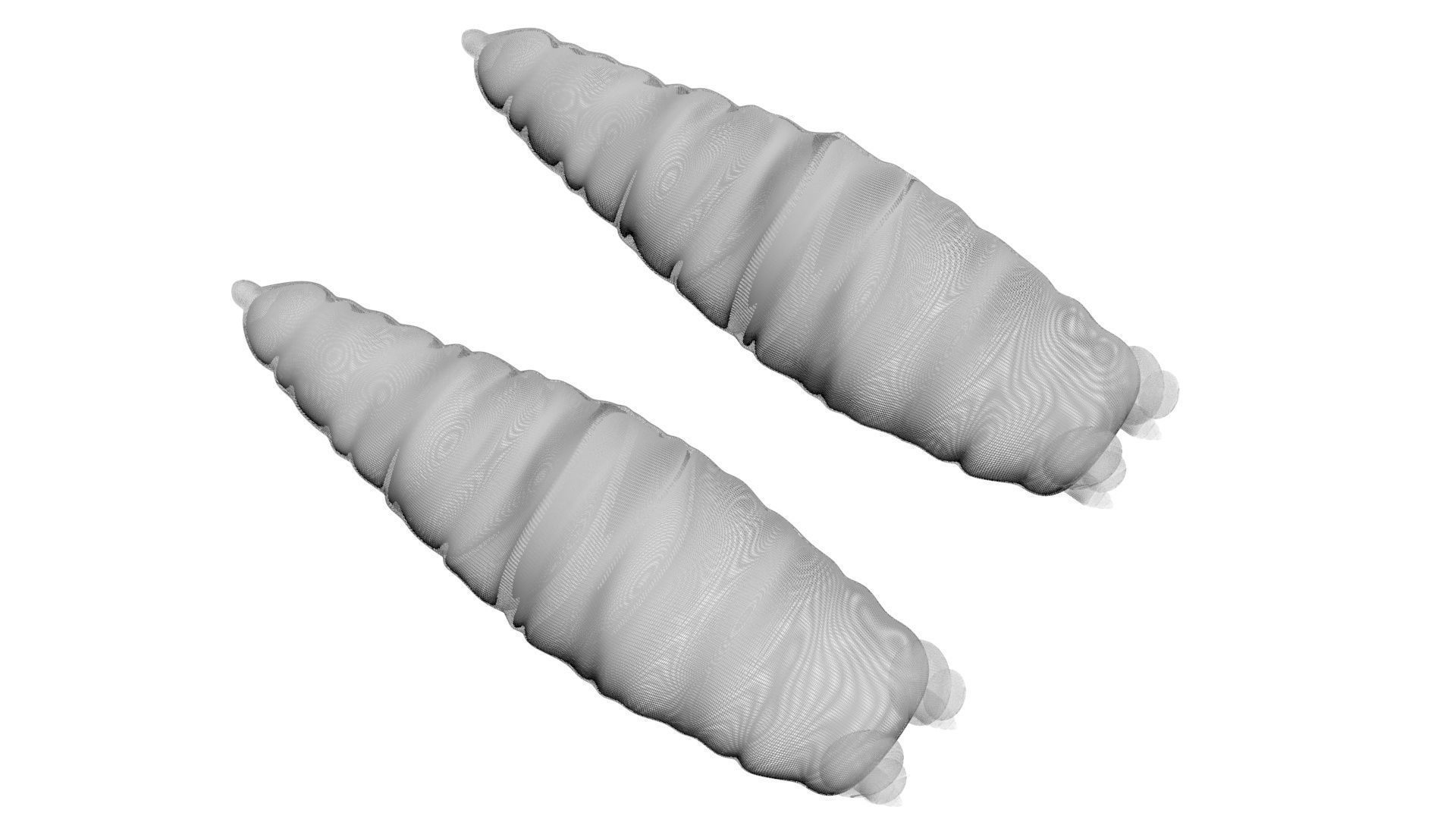 Antistress Squish Worms 3D model | CGTrader