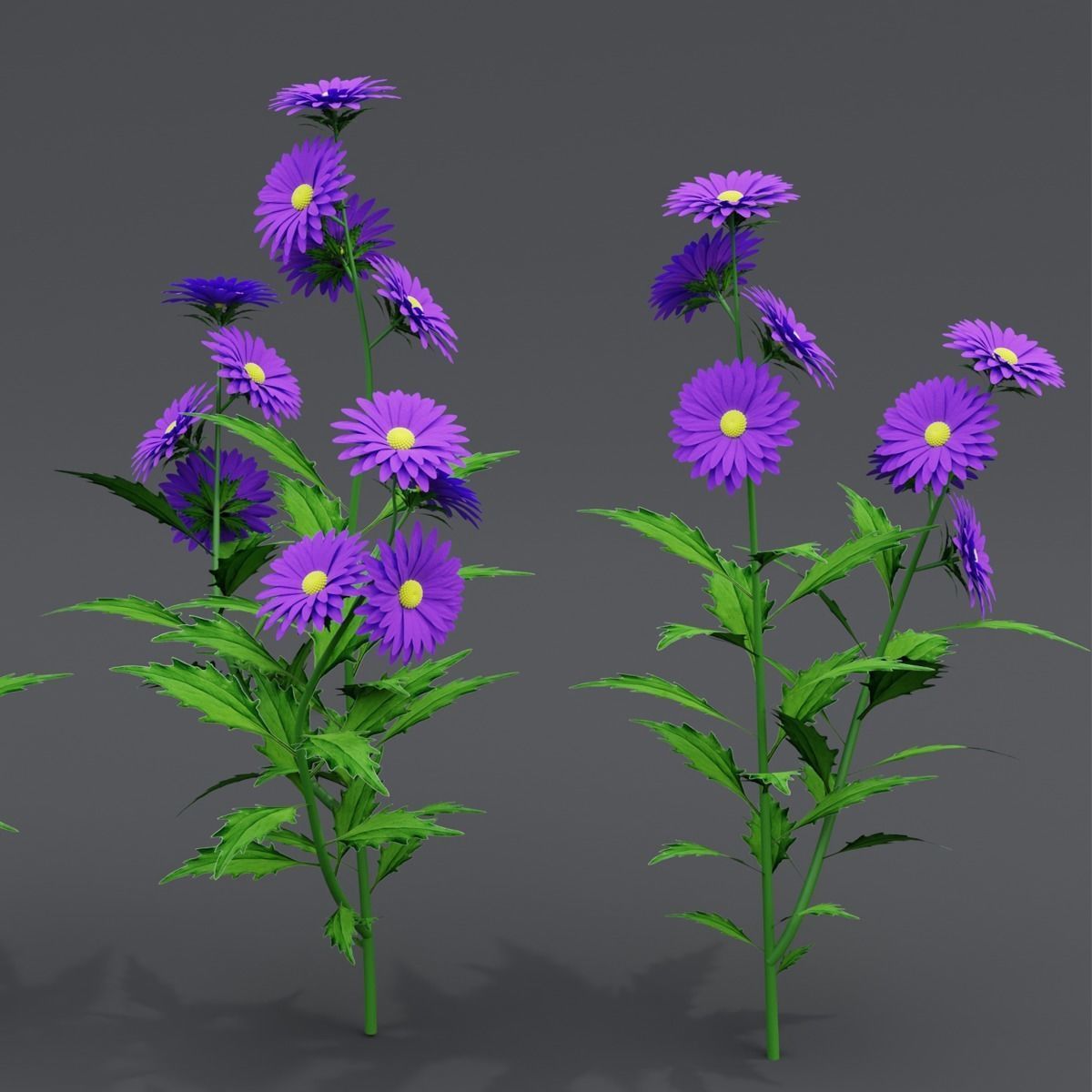 3d Flower Plant 3D model | CGTrader