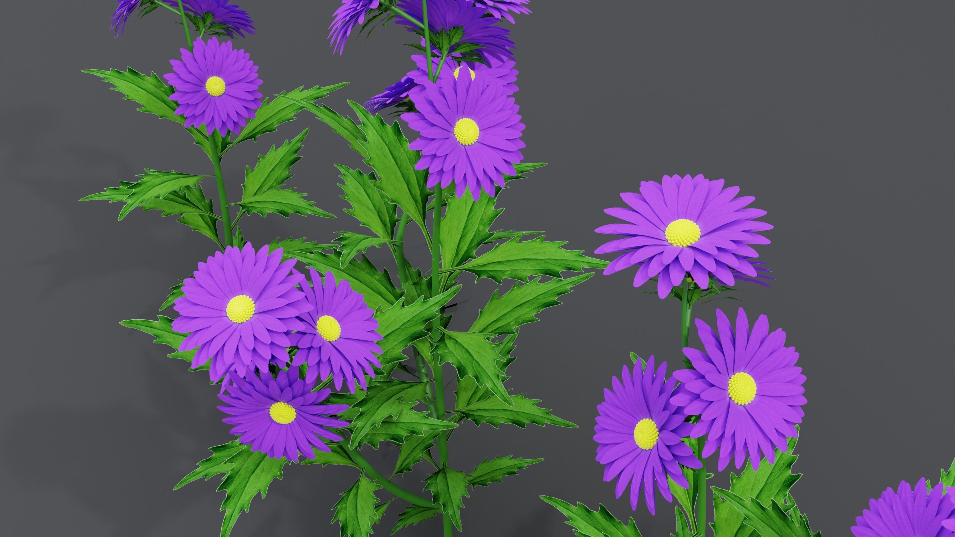 3d Flower Plant 3D model | CGTrader