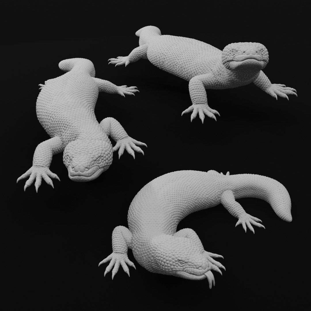 Gila Monster Lizard Realistc Venomous Reptile 3D Print Model 3D model ...