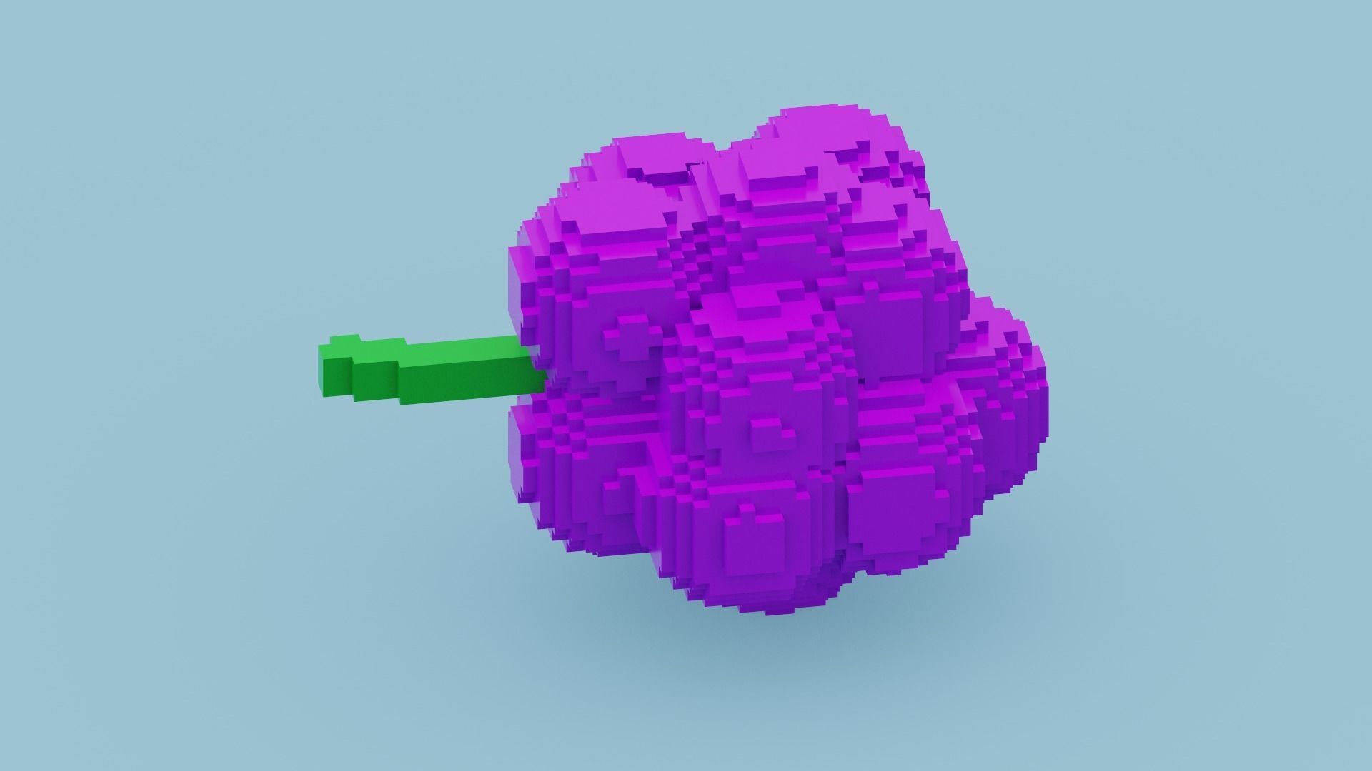 3D model Voxel Grapes VR / AR / low-poly | CGTrader