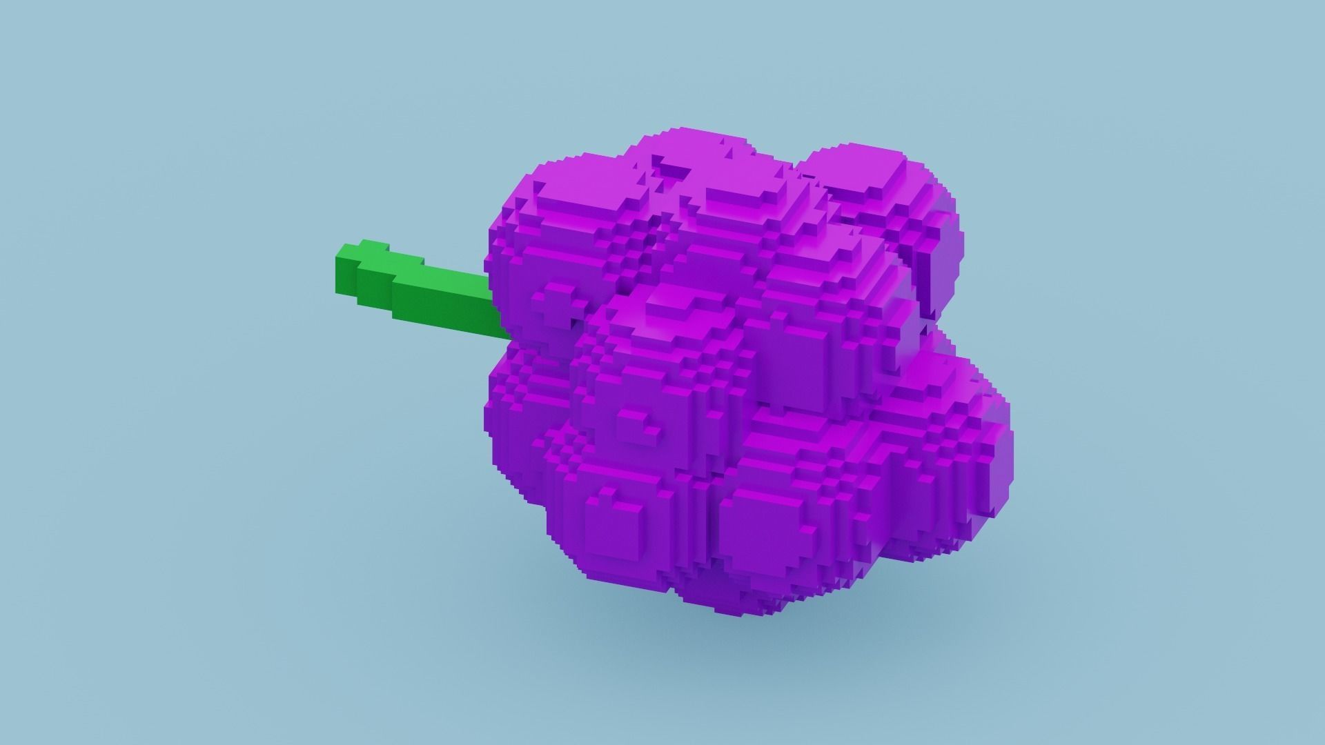 3D model Voxel Grapes VR / AR / low-poly | CGTrader