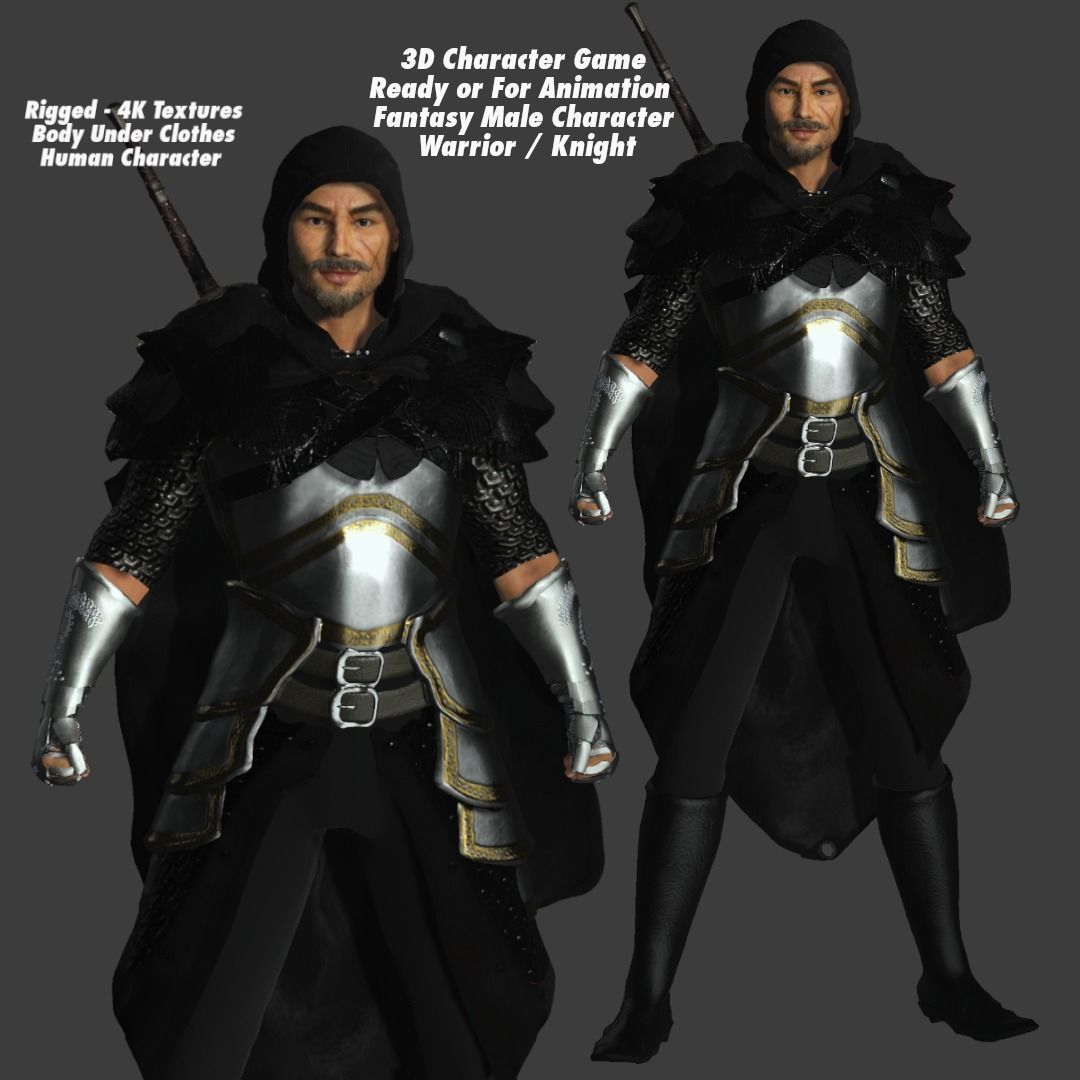 3D model AAA 3D MALE FIGHTER WARRIOR - REALISTIC RIG GAME CHARACTER VR ...
