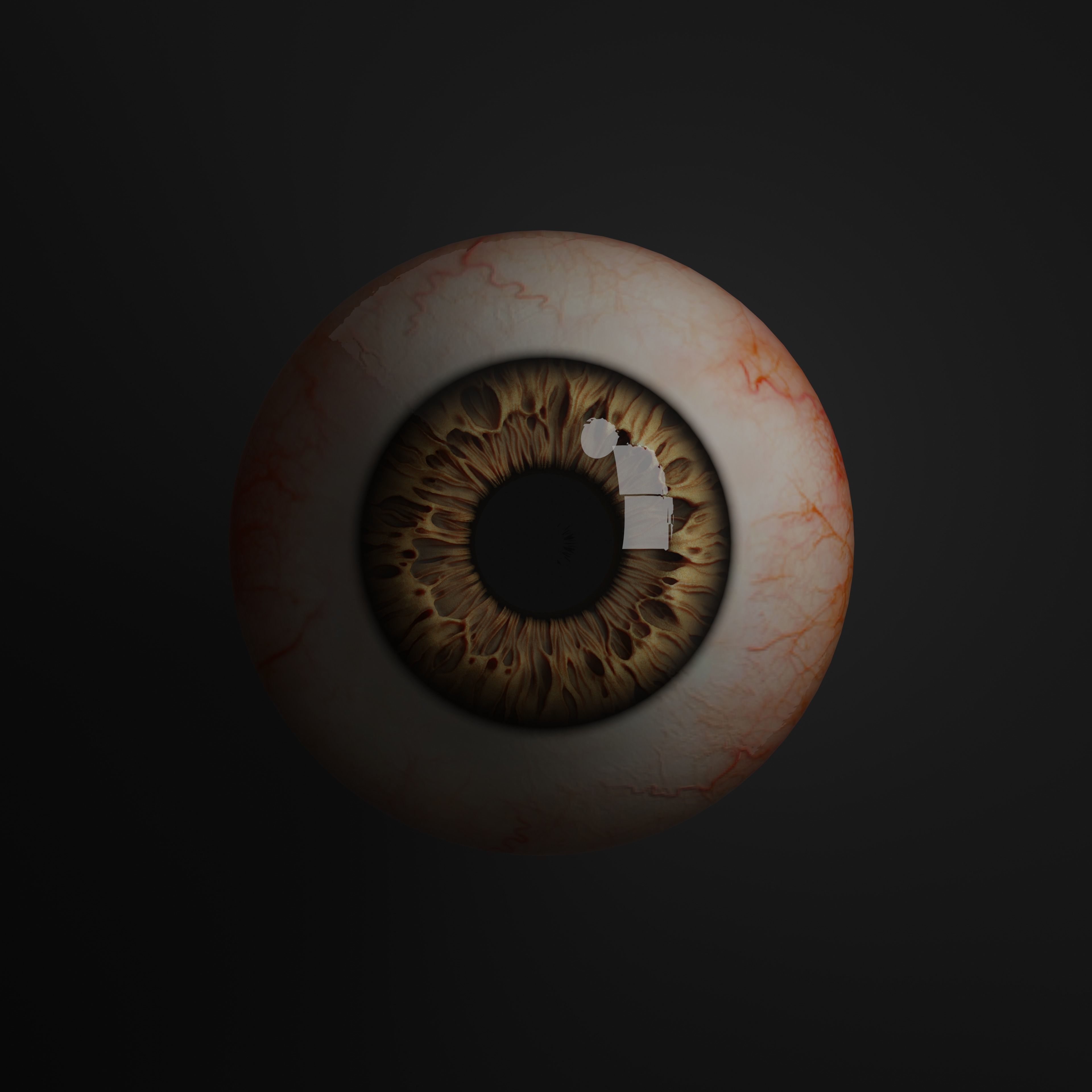 Realistic 3d eye 3D model | CGTrader