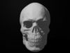 High Definition Human Skull 3D model 3D printable | CGTrader