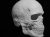 High Definition Human Skull 3D model 3D printable | CGTrader