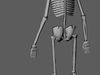 3D model Low Poly Skeleton 3D Model - Fully Rigged and Textured VR / AR ...