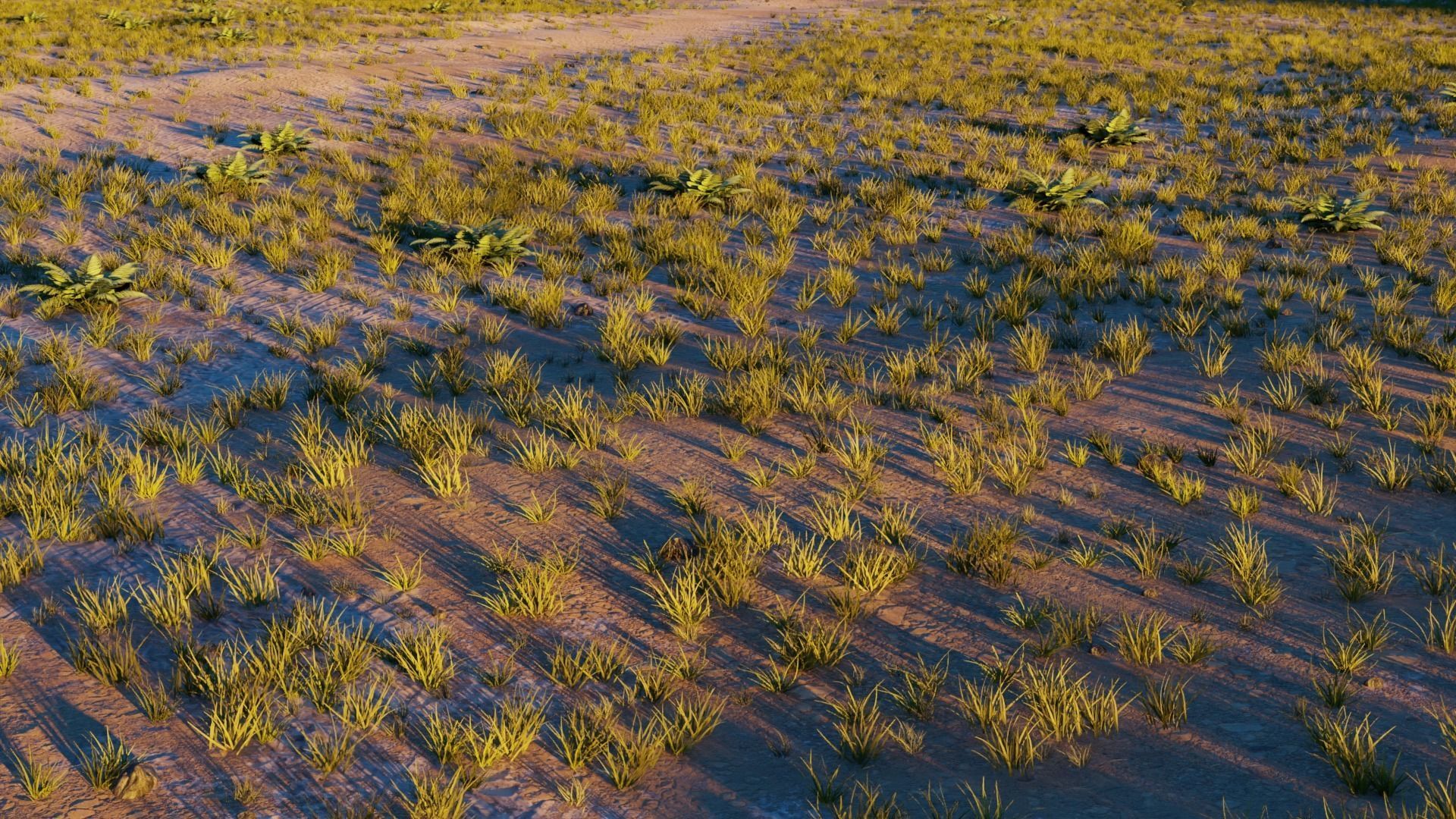 Desert field free 3D model | CGTrader