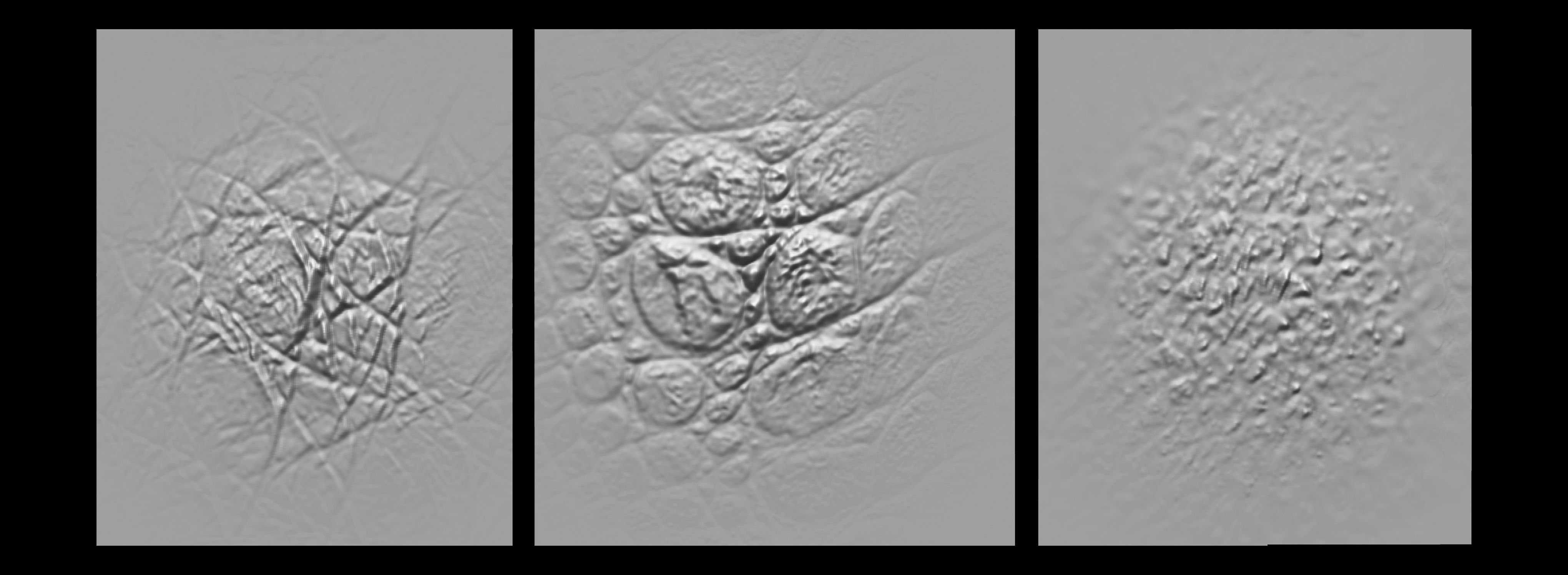 3D model 84 Human and Animal Skin Brushes Pack - Zbrush VR / AR / low ...