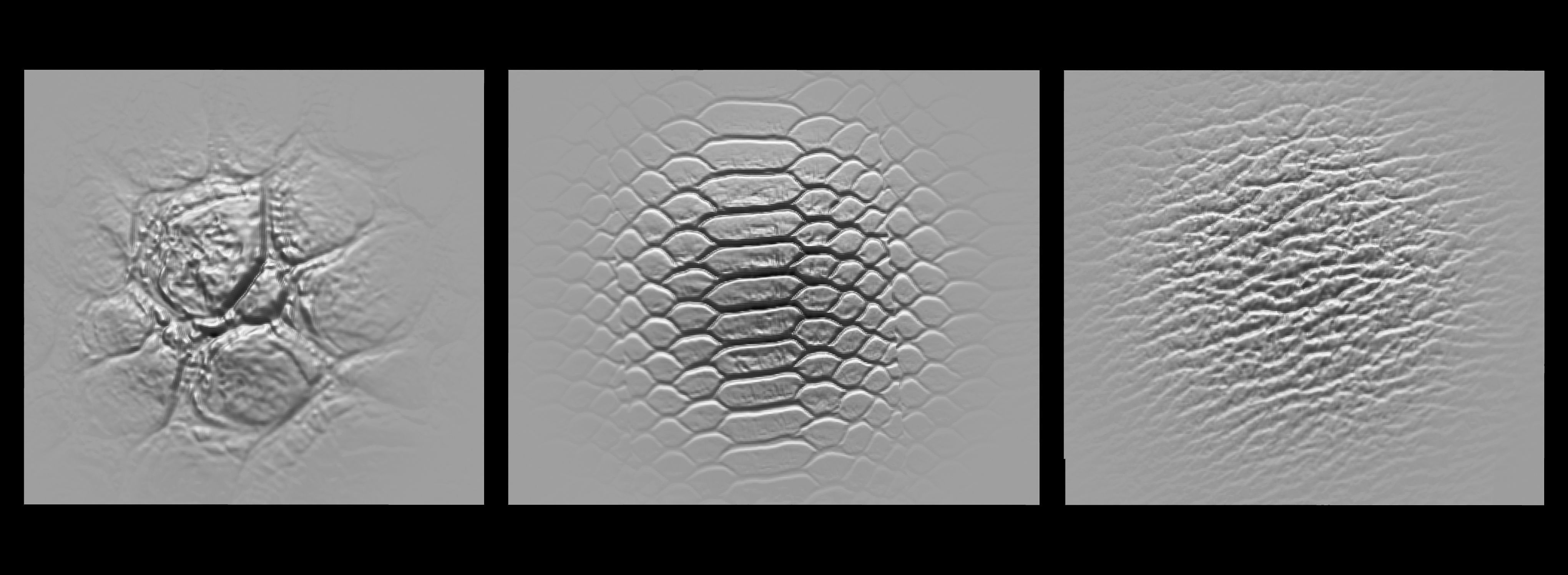 3D model 84 Human and Animal Skin Brushes Pack - Zbrush VR / AR / low ...