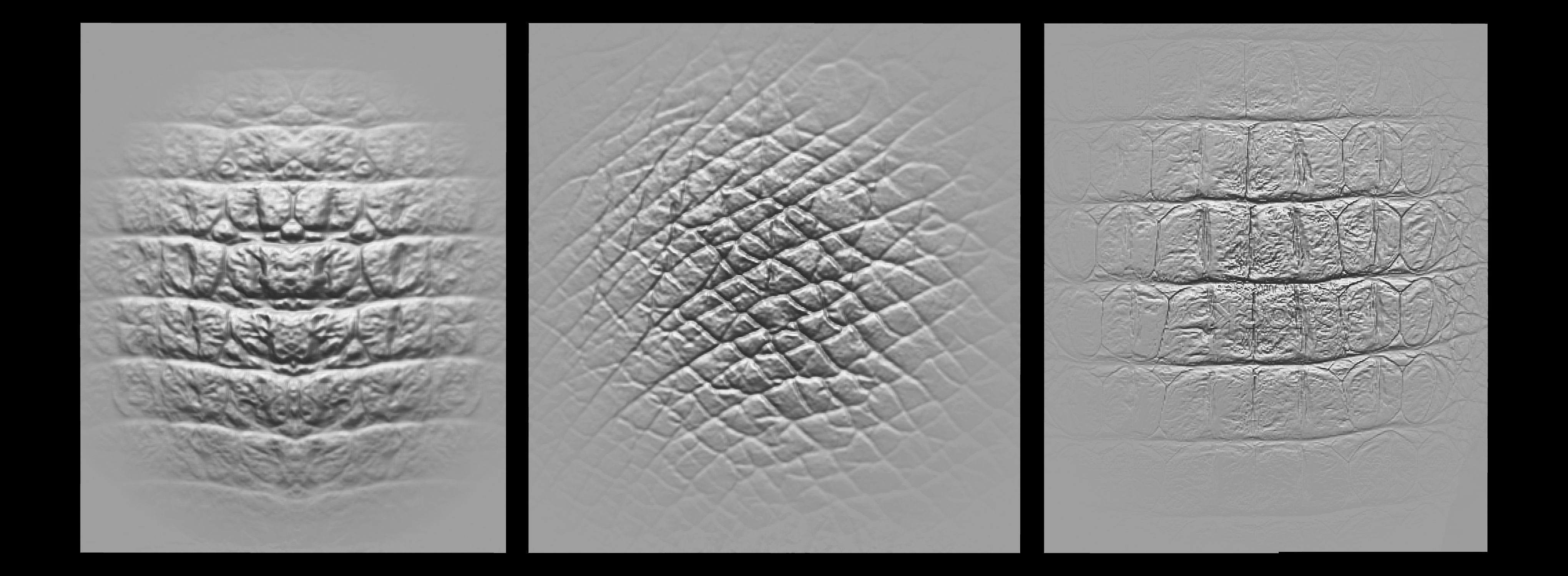 3D model 84 Human and Animal Skin Brushes Pack - Zbrush VR / AR / low ...