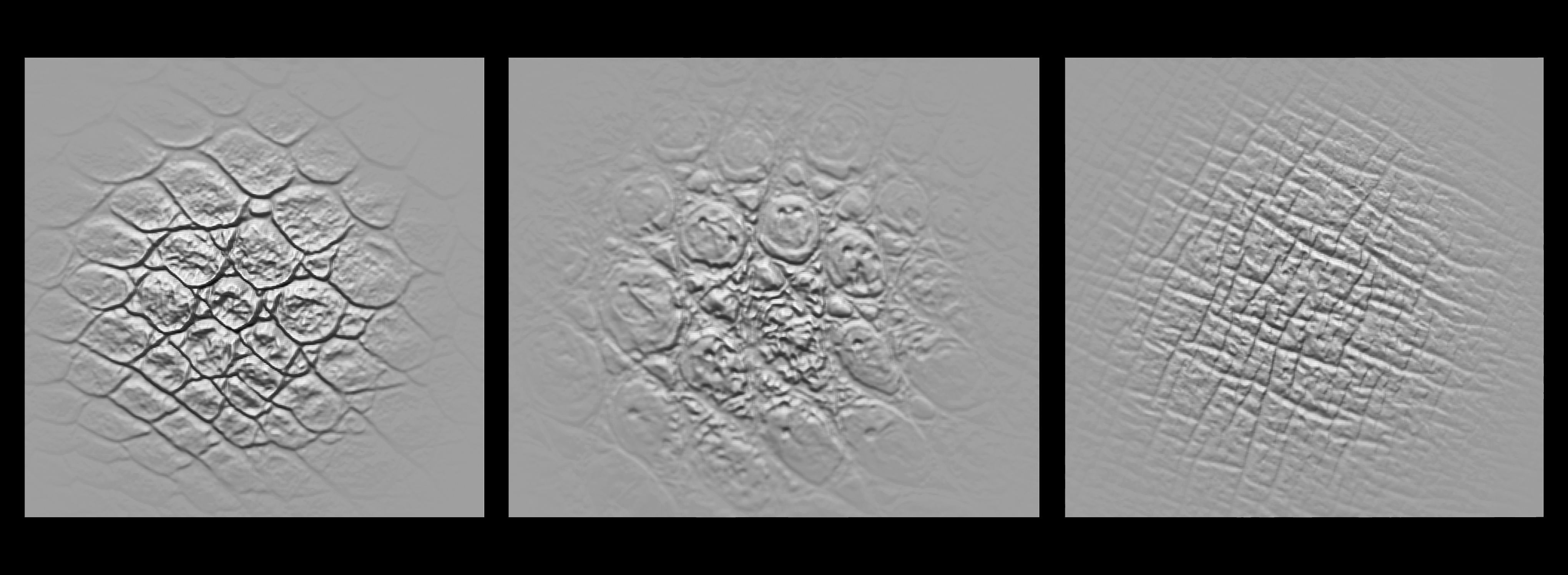 3D model 84 Human and Animal Skin Brushes Pack - Zbrush VR / AR / low ...