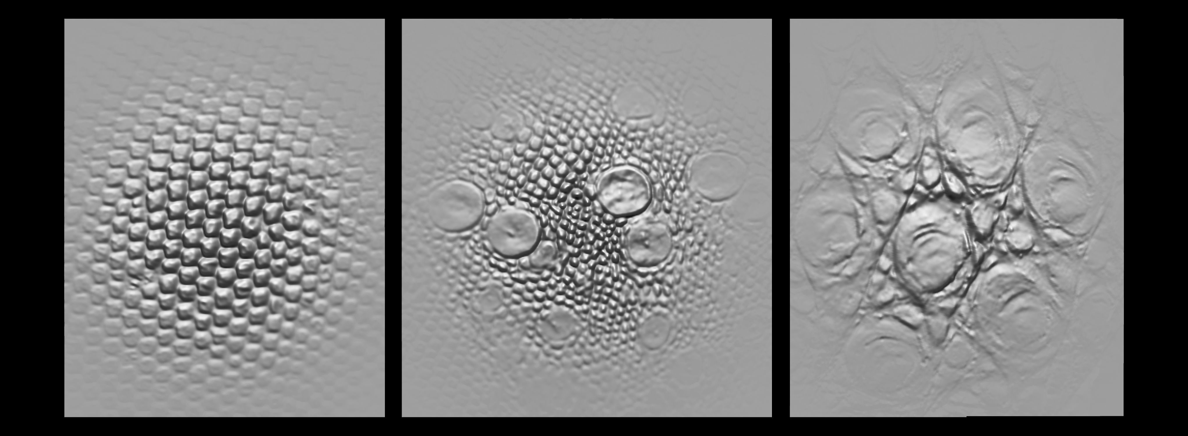 3D model 84 Human and Animal Skin Brushes Pack - Zbrush VR / AR / low ...