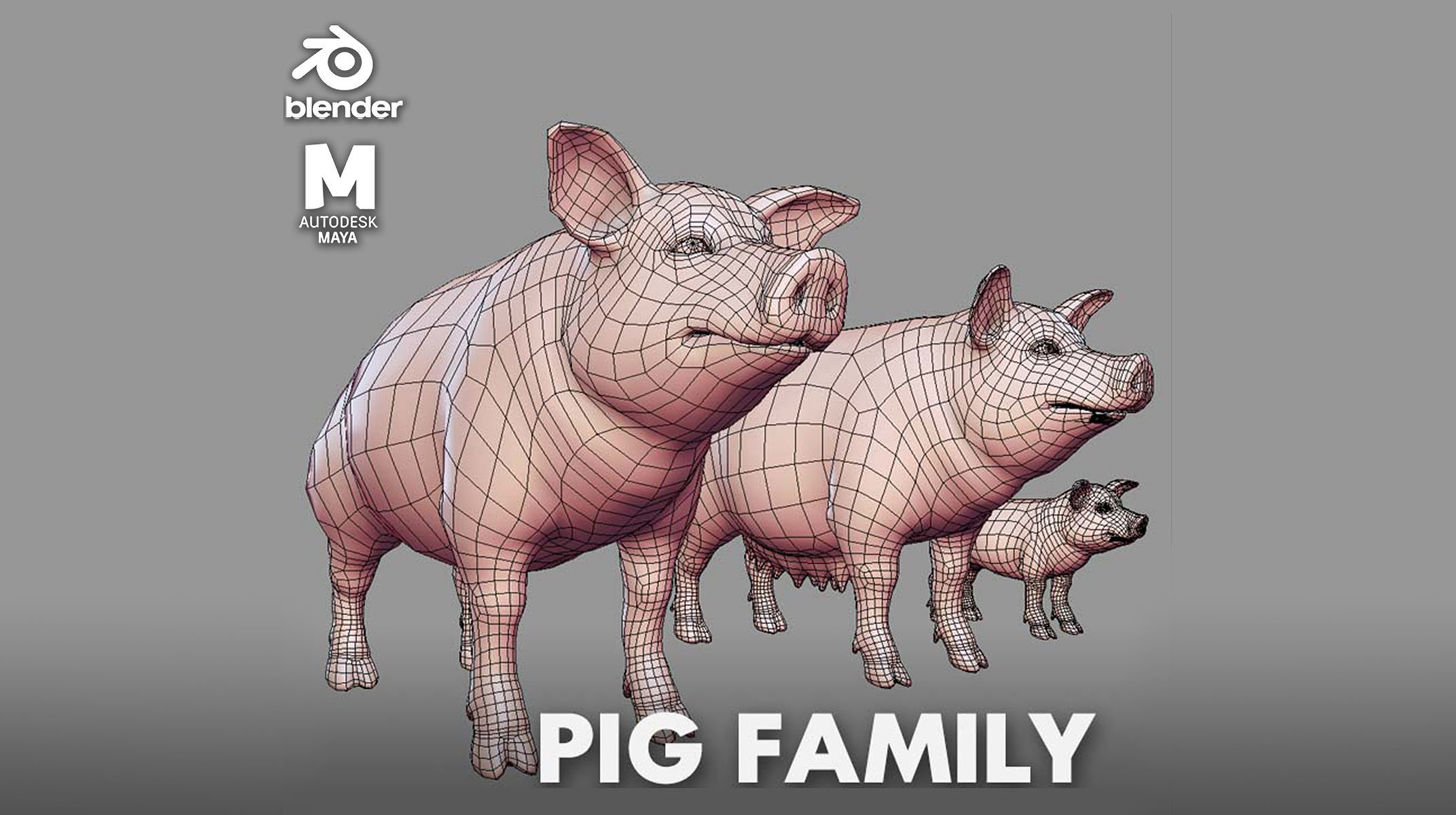 3D Model Collection Pig Family BaseMesh VR / AR / low-poly | CGTrader