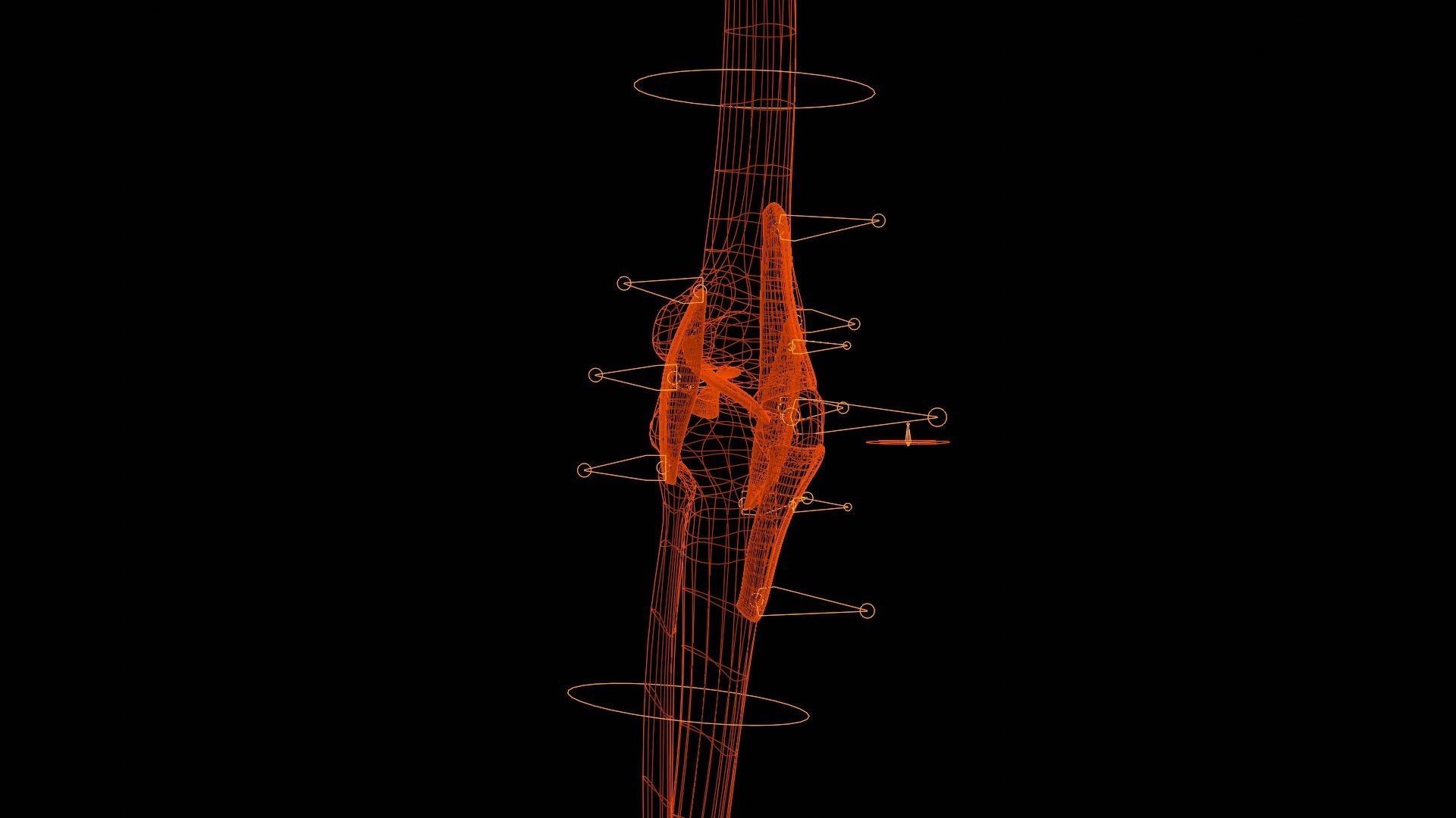 3D model Knee anatomy template VR / AR / low-poly | CGTrader