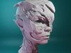 FF16 GARUDA Head and Neck - Cosplay FFXVI Final Fantasy Eikon 3D model ...