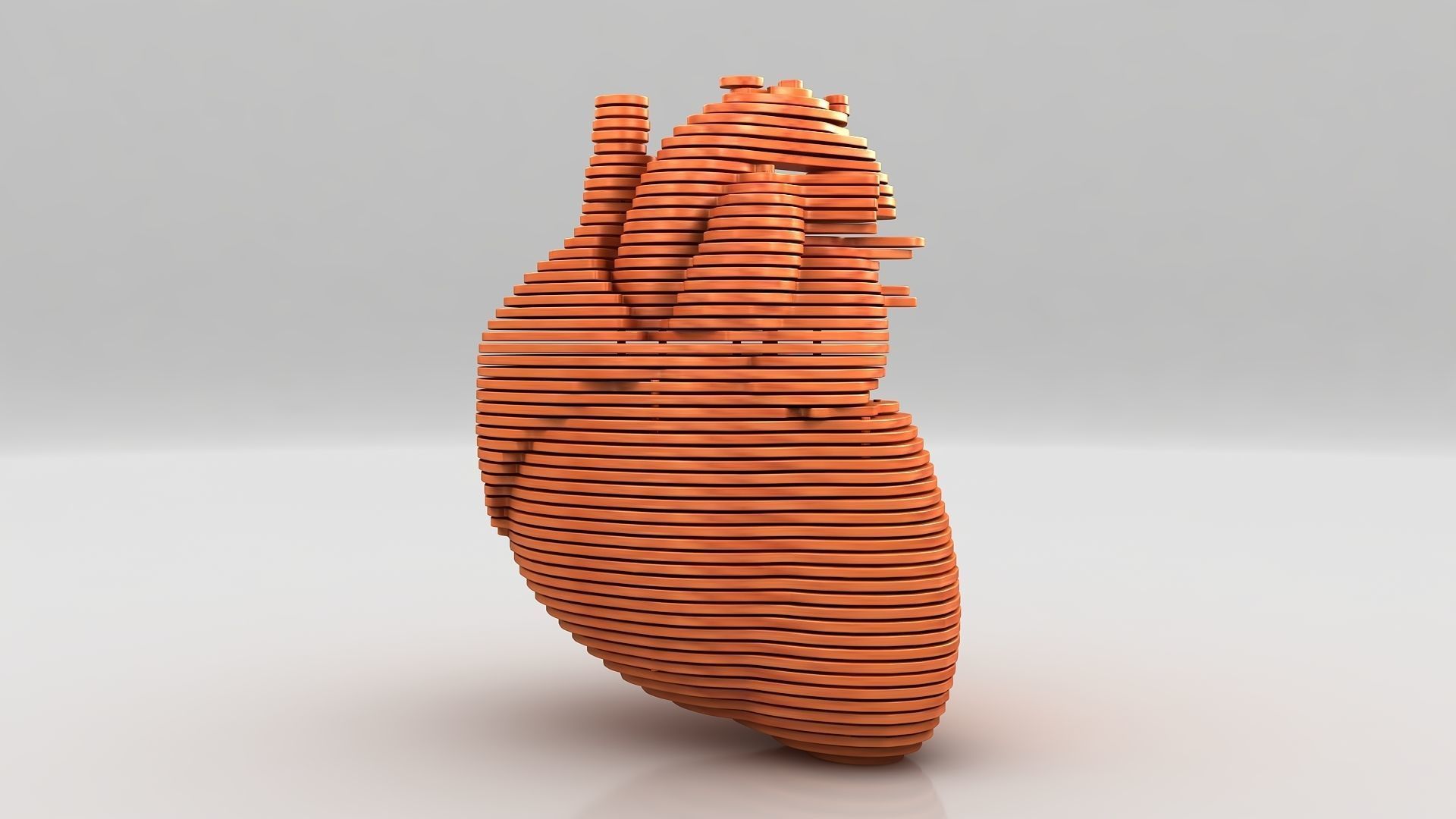 Parametric Human Heart Models 3D model | CGTrader