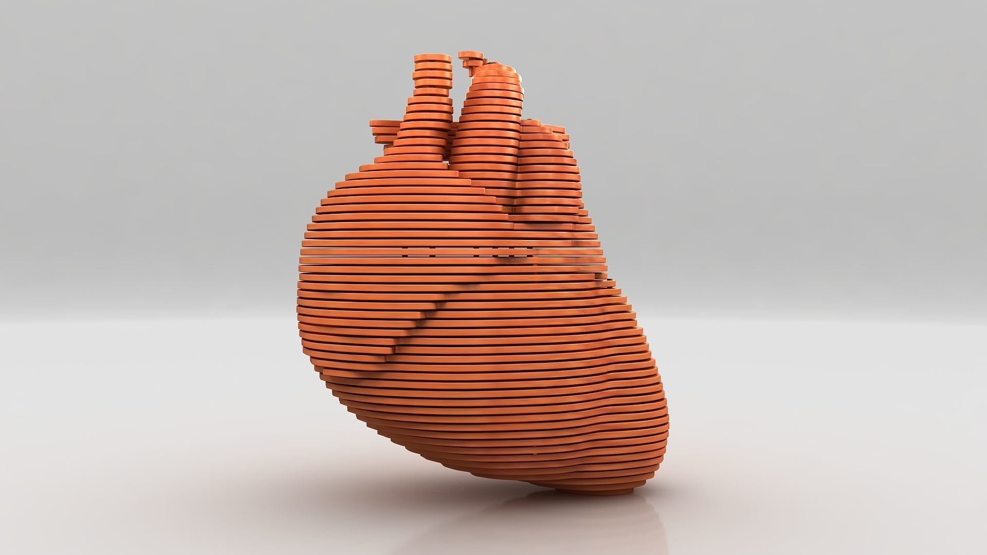Parametric Human Heart Models 3D model | CGTrader