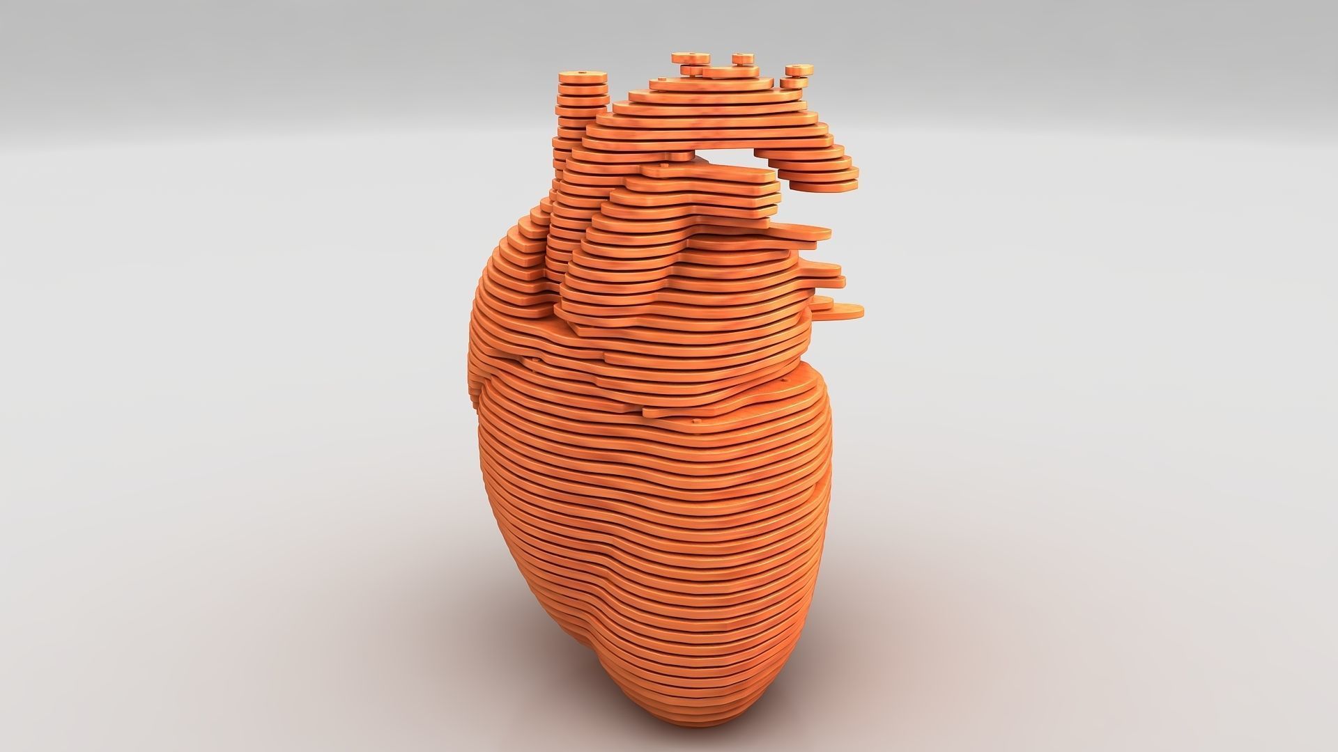 Parametric Human Heart Models 3D model | CGTrader