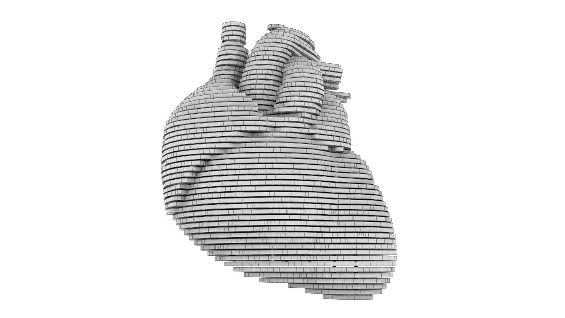 Parametric Human Heart Models 3D model | CGTrader