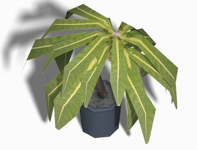 3D model Street Plant - Lowpoly Mobile Ready VR / AR / low-poly | CGTrader