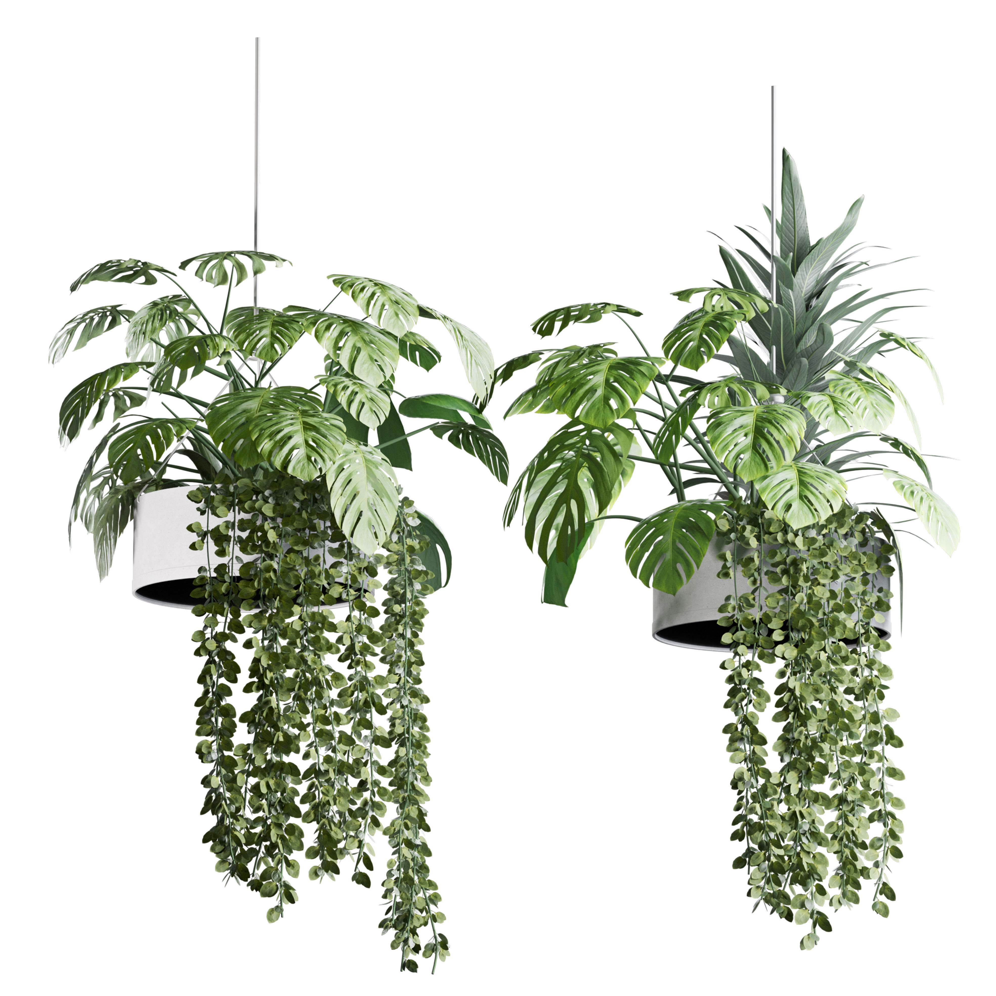 Hanging plant set 03 3D model | CGTrader
