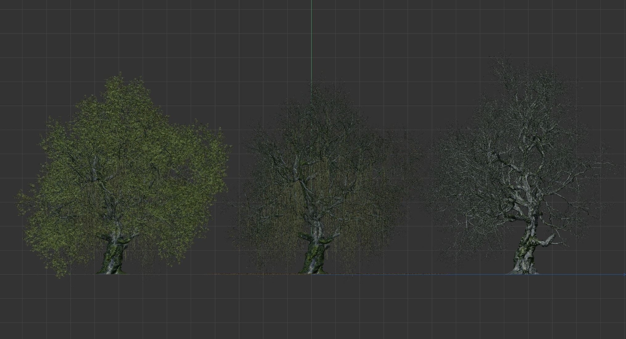 Beech Tree 01 Pack 3D model | CGTrader