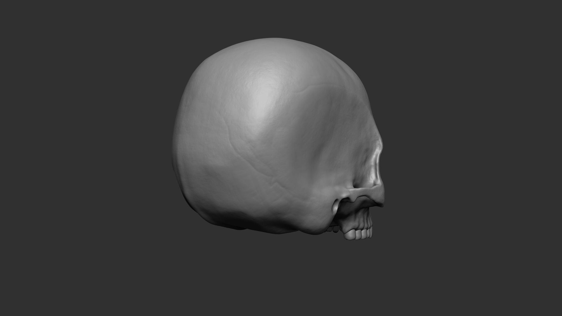 Skull - 3D Print 3D model 3D printable | CGTrader