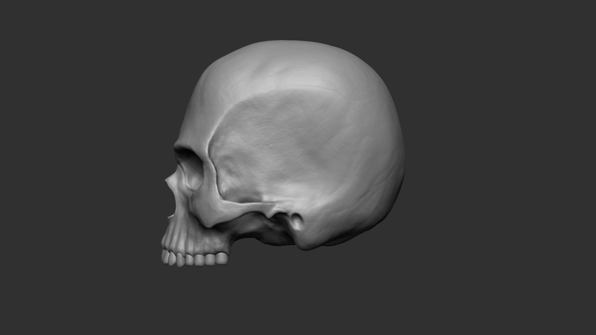 Skull - 3D Print 3D model 3D printable | CGTrader